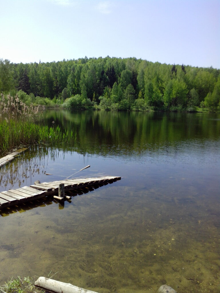 Bahçecilik dernekleri ve kuruluşları Sadovodcheskoye tovarishchestvo Lesnoy ugolok, Minskaya oblastı, foto
