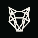 BlackFox (Tashkentskaya Street No:28с1), detaylı oto bakımı  Moskova'dan