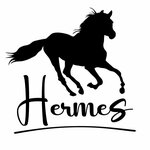 Hermes (Pokhodnaya Street No:13), at ve binicilik kulüpleri  Yekaterinburg'dan