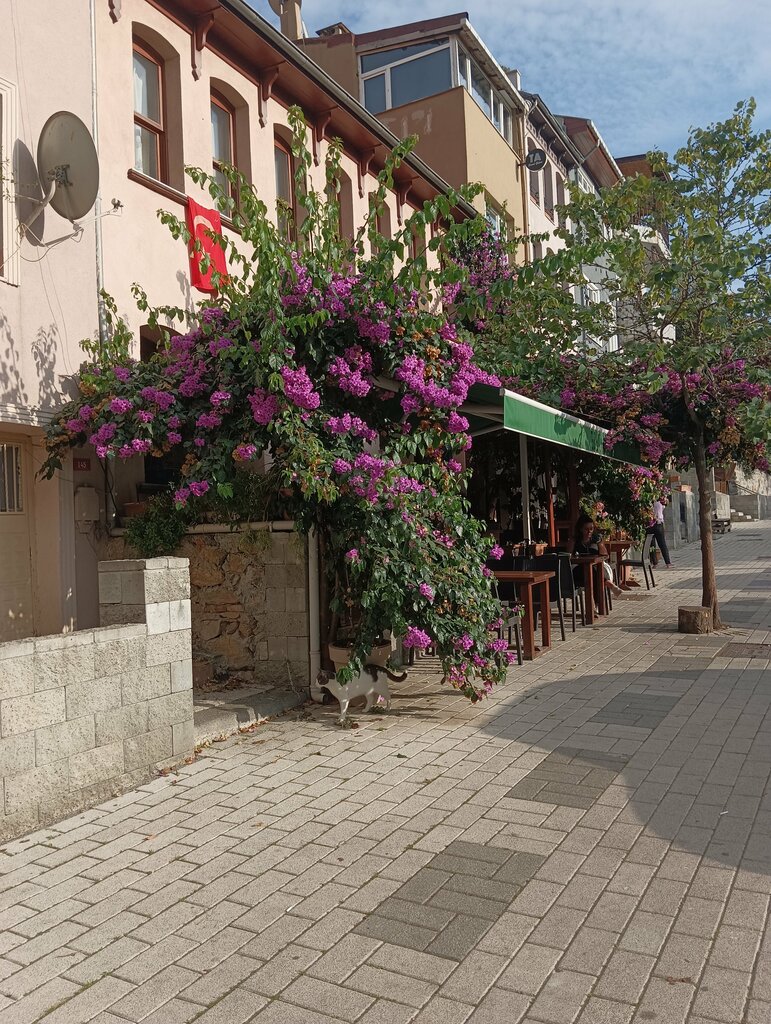 Kafe Gule Cafe, İstanbul, foto