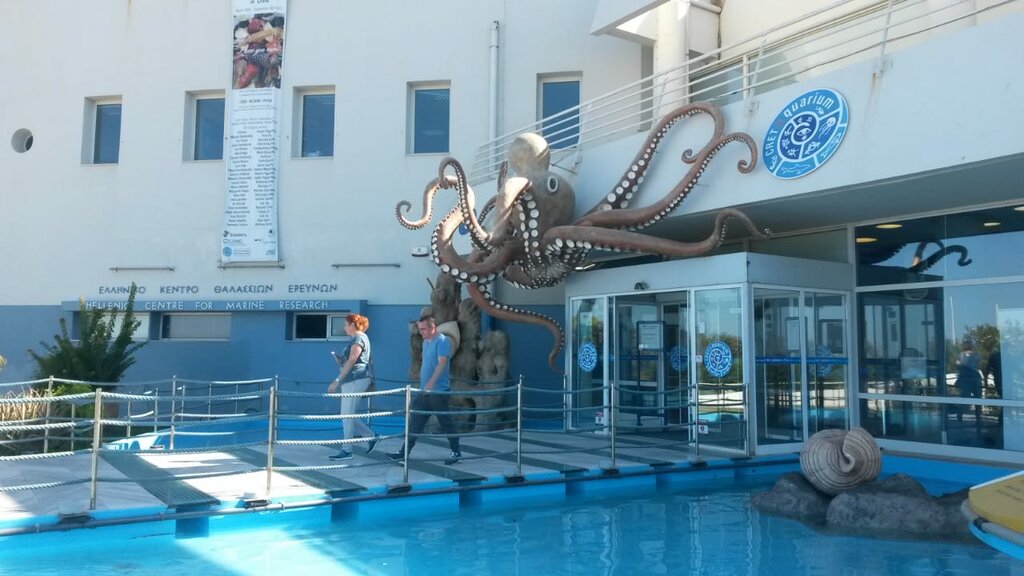 Akvaryumlar CretAquarium Thalassokosmos, Dünya, foto