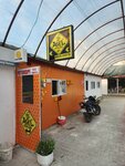 Asel Reklam (Atatürk Mah., 53 Sok., No:6, Samandağ, Hatay), tabela yapımı  Samandağ'dan