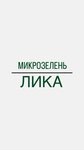Микрозелень Лика (Yuriya Gagarina Avenue No:34к3В), market  Saint‑Petersburg'dan