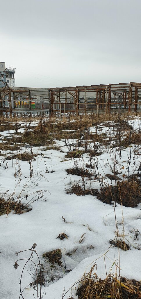 Helikopter pisti Helipad, Novokuznetsk, foto