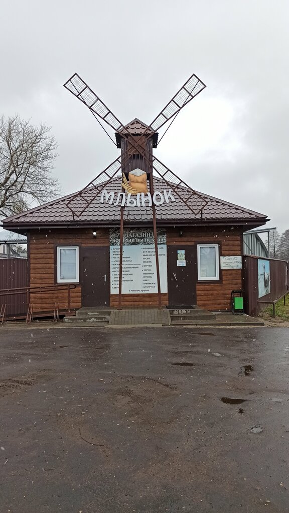 Evcil hayvanlar için ürünler Млынок, Gancevichi, foto