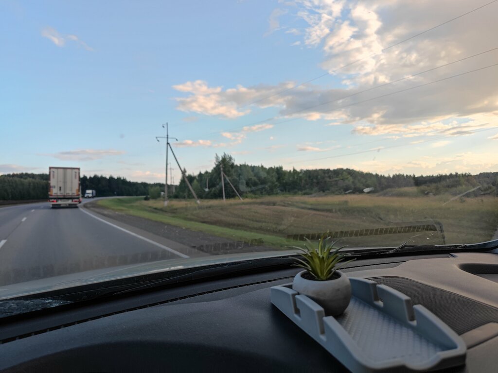 Orman Липлейский лес, Penzenskaya oblastı, foto