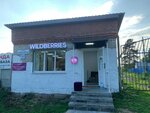 Wildberries (Volokolamskaya ulitsa No:57А, mikrorayon Privokzalny), teslimat noktası  Volokolamsk'tan