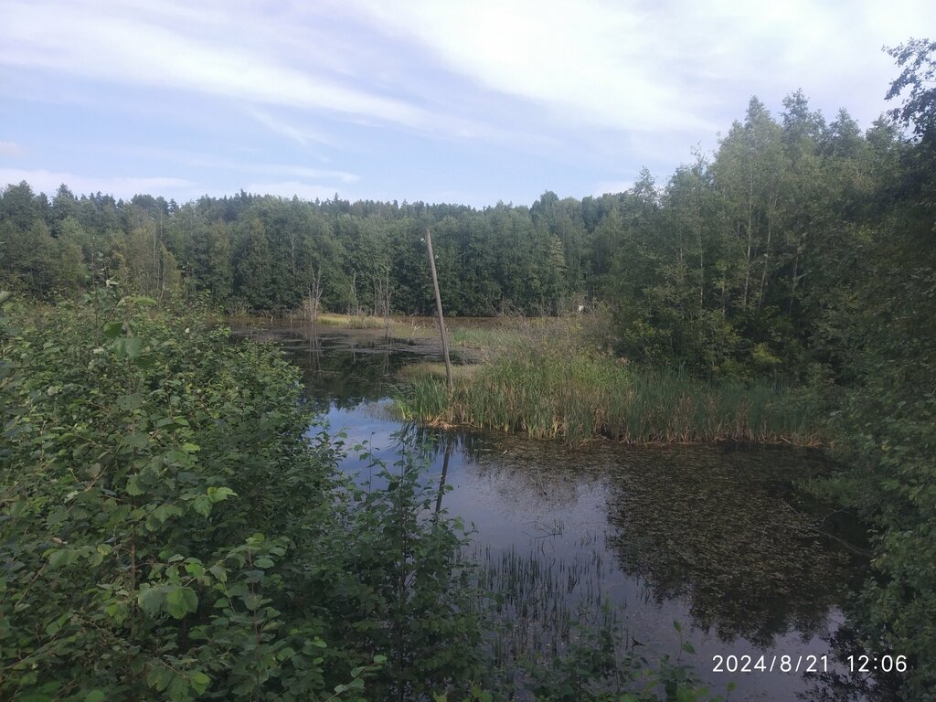 Yük istasyonu станция Пруды, Saint‑Petersburg ve Leningradskaya oblastı, foto