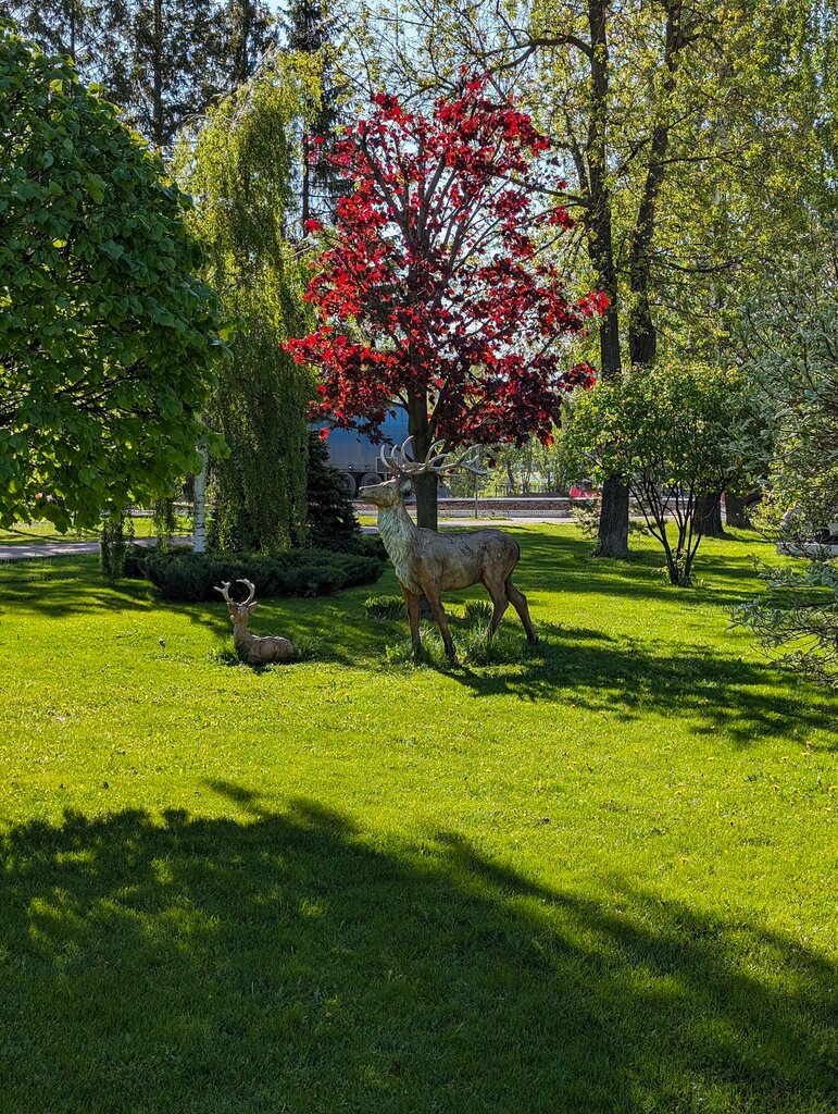 Park, sokak heykeli Олень и оленёнок, Yoshkar‑Ola, foto