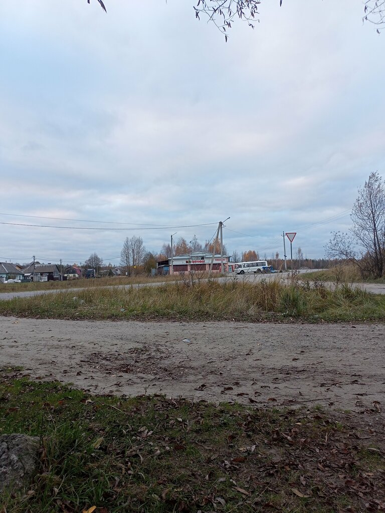 Market Светофор, Briansk, foto