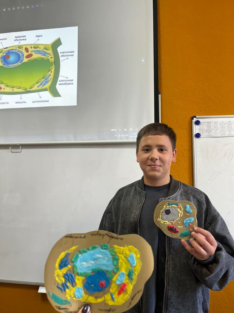 Özel okul Top IT School, Rostov‑na‑Donu, foto