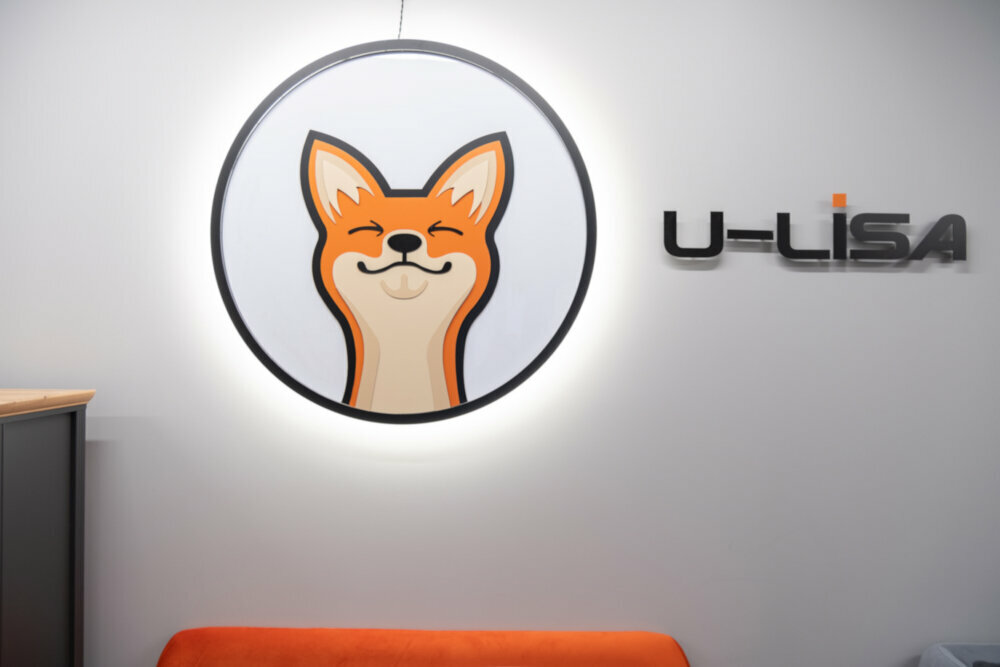 Paylaşımlı ofis U-lisa, Moskova, foto