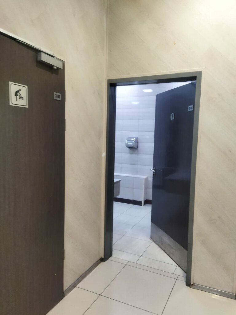 Tuvalet Toilet, Domodedovo, foto