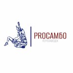 Proсамбо (Klyuchevaya Street No:10), spor kulüpleri  Petrozavodsk'tan