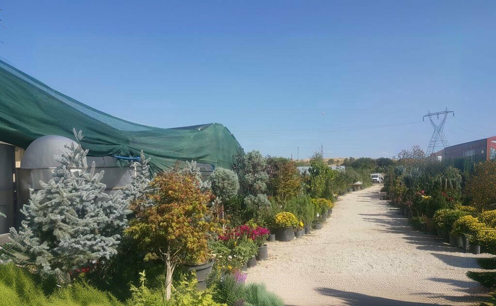 Tarım ürünleri firmaları Fidesan Sebzecilik Meyvecilik, Kastamonu, foto