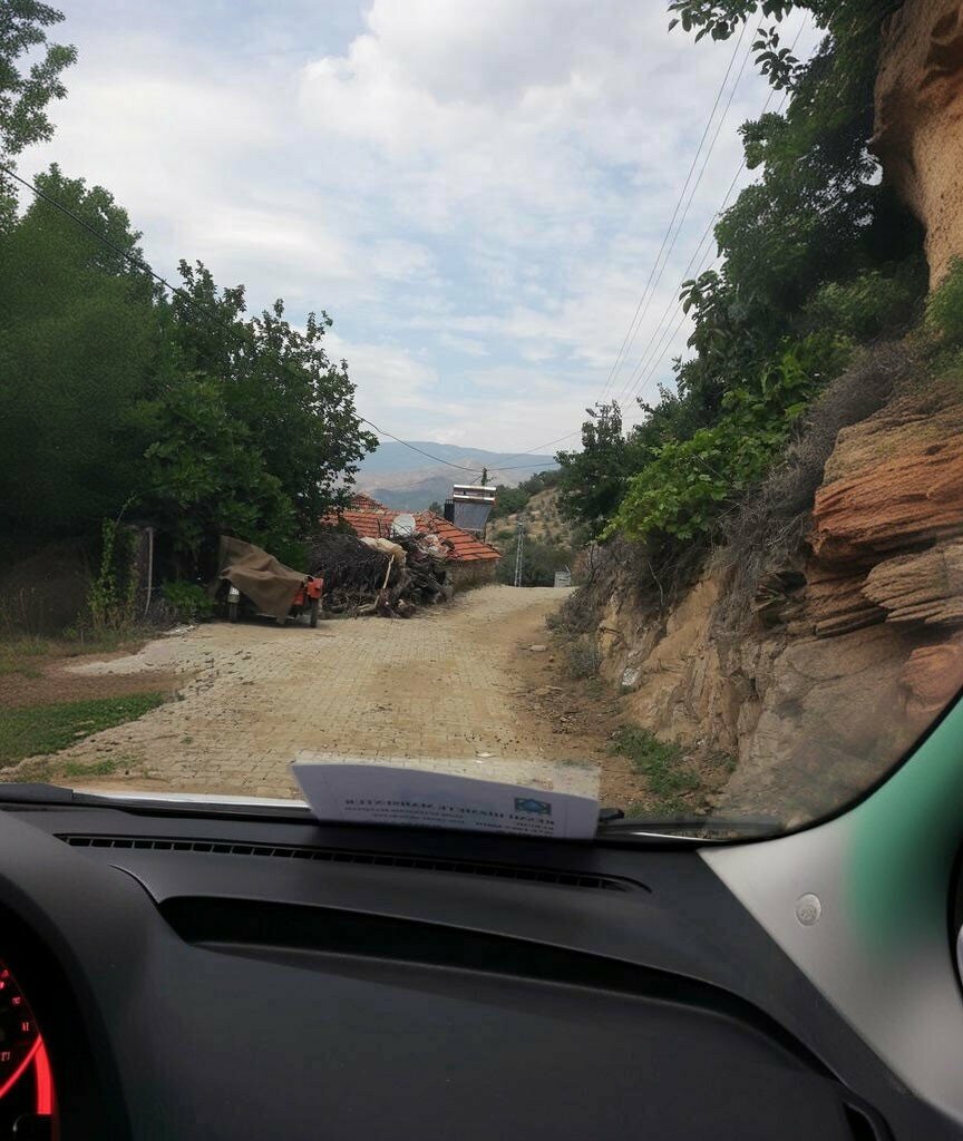 Muhtarlıklar Süleymanlar Mahalle Muhtarlığı, Ödemiş, foto