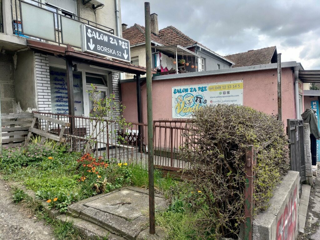 Evcil hayvan kuaförleri Salon za pse-Vanilo, Belgrad, foto