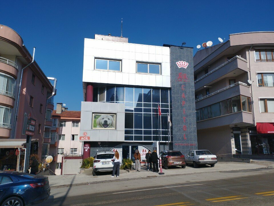 Veteriner klinikleri Capitol Hayvan Hastanesi, Ankara, foto
