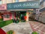 Çiçek Dükkanı (Ankara, Keçiören, Osmangazi Cad., 88D), çiçekçiler  Ankara'dan