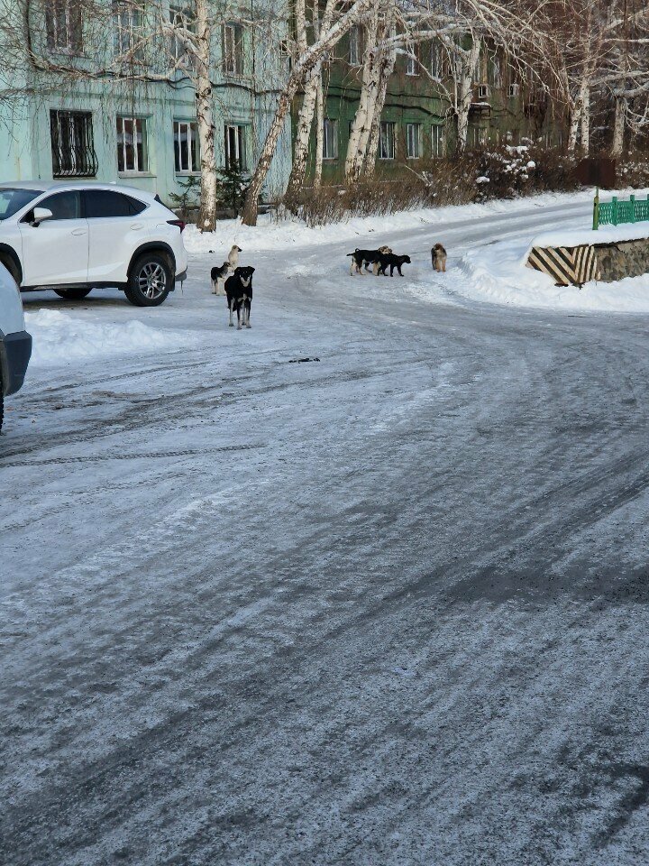 Özel ekipman yedek parçaları Anmi Group, Öskemen (Ust‑Kamenogorsk), foto