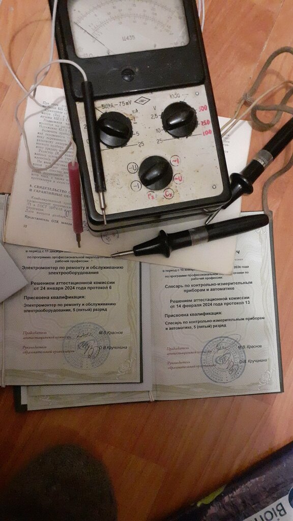 Elektrikli cihazların tamiri Sacerdos Et Nothus, Orenburgskaya oblastı, foto