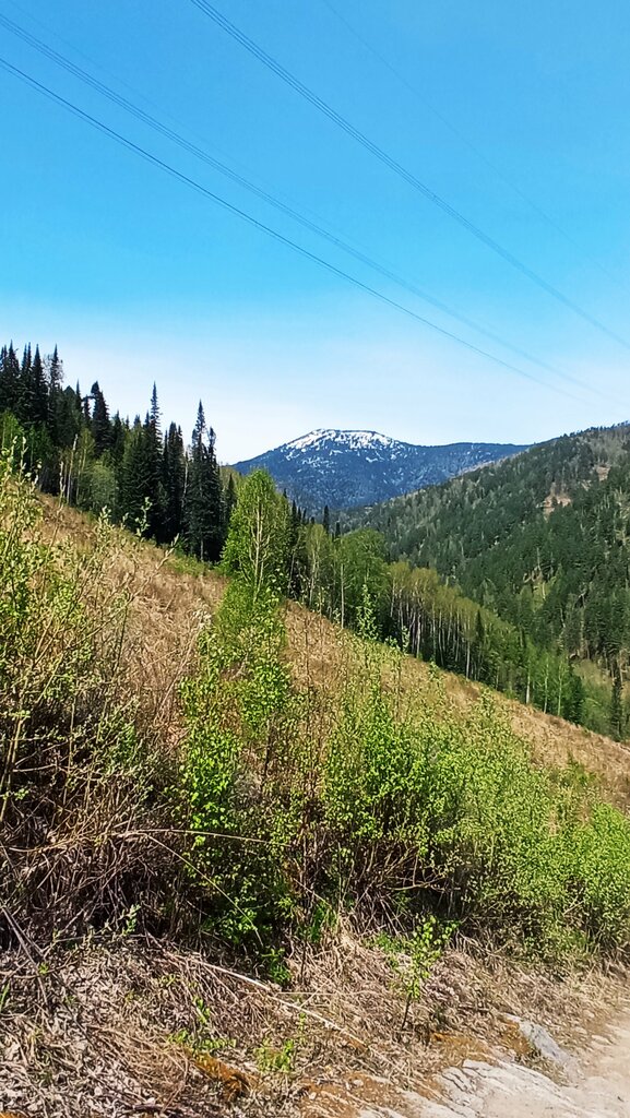 Dağ zirvesi Mount Shishak, Hakasya, foto