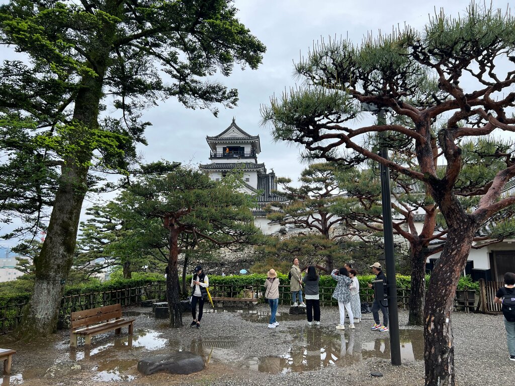 Turistik yerler Kochi Castle, Koçi, foto