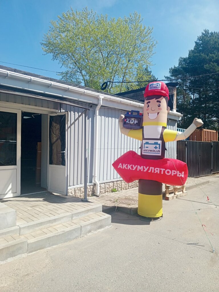 Akümülatör ve şarj cihazları Аккумуляторы, Sosnoviy Bor, foto