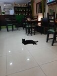 Корица (Sotsialisticheskiy pereulok No:54), kahve dükkanları  Azov'dan