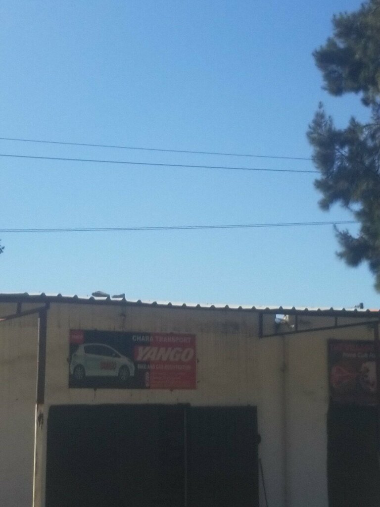 Web tasarım hizmetleri Yango, Lusaka, foto