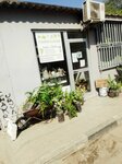 Kai e Nai (Luanda, Rua Augusto Silvério Ferreira), çiçek pazarı  Loanda'dan