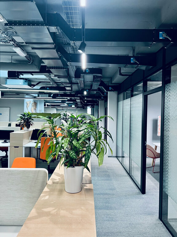 Bilişim firmaları Айтем, Saint‑Petersburg, foto