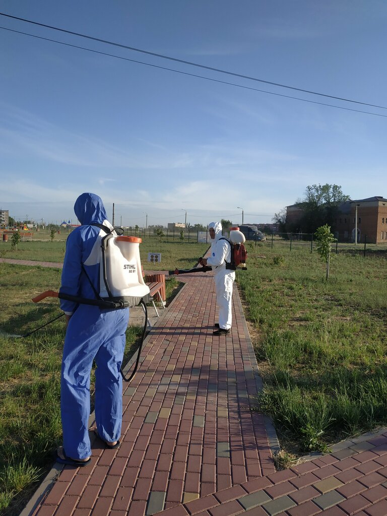 Haşere ilaçlama firmaları Dez Kontrol, Kazan, foto