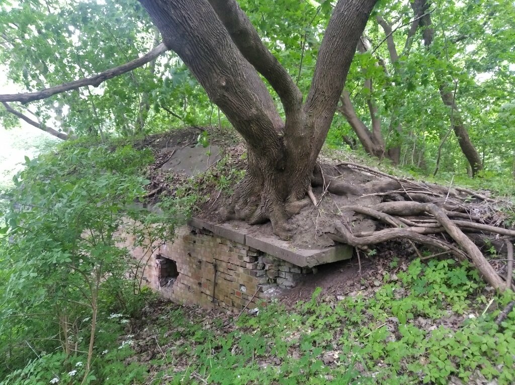 Turistik yerler Артиллерийская батарея, Baltiysk, foto
