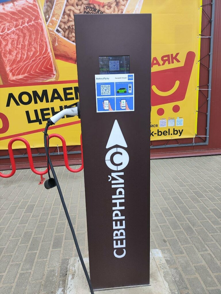Elektrikli oto şarj istasyonları BatteryFly, Orsha, foto