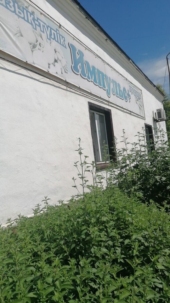 Market Impulse Plus, Zyrianovsk, foto
