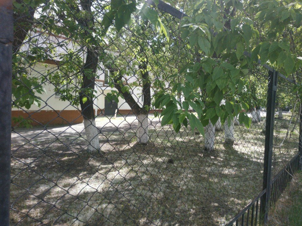 Lise Лицей № 34, корпус № 2, Tiumen, foto