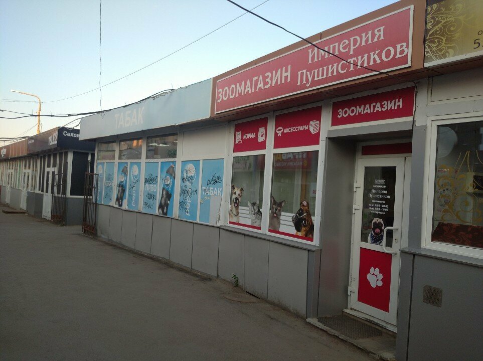 Petshop Империя пушистиков, Saratov, foto