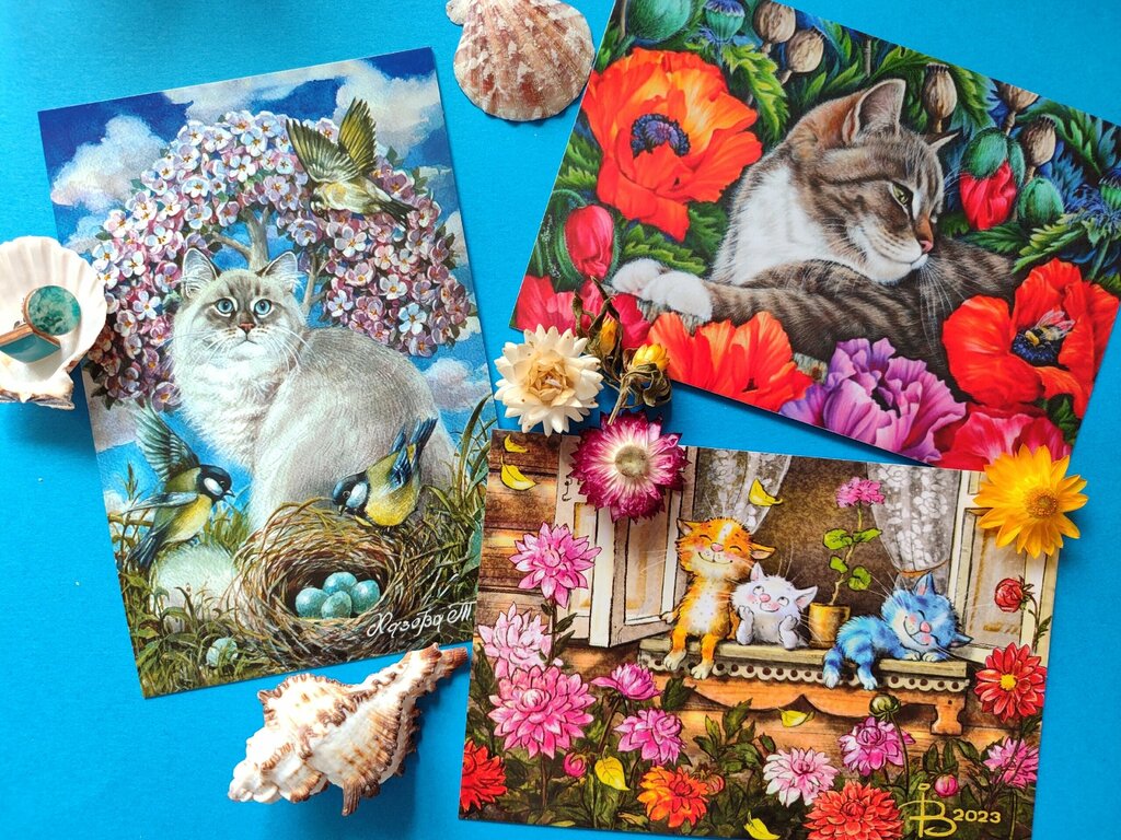 Kutlama ürünleri Postcrossing postcards MyMagicard, Krasnoyarski krayı, foto