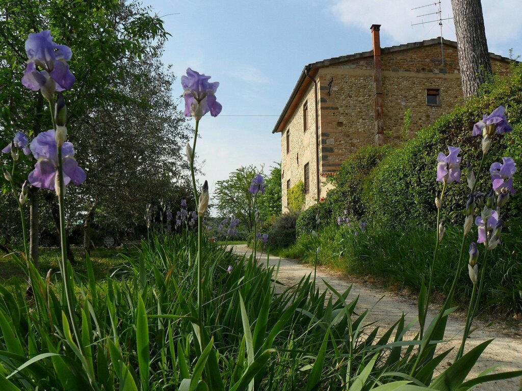 Otel B&b Il Giglio Etrusco, Toskana, foto