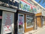 Houseplants (Boqarbay Batır street No:18), çiçekçiler  Kızılorda'dan