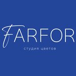 Farfor (Kalinina Street No:16, Vakhitovskiy City Administrative District), çiçekçiler  Kazan'dan