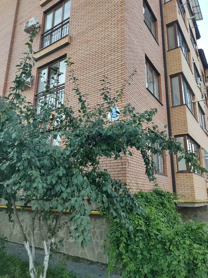 Kısa süreli konaklama Квартиры посуточно, Vladikavkaz, foto