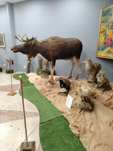 Magnitogorsk Museum of Local History (Sovetskoy Armii Street No:51Ак1, Magnitogorsk), müzeler ve sanat galerileri  Magnitogorsk'tan