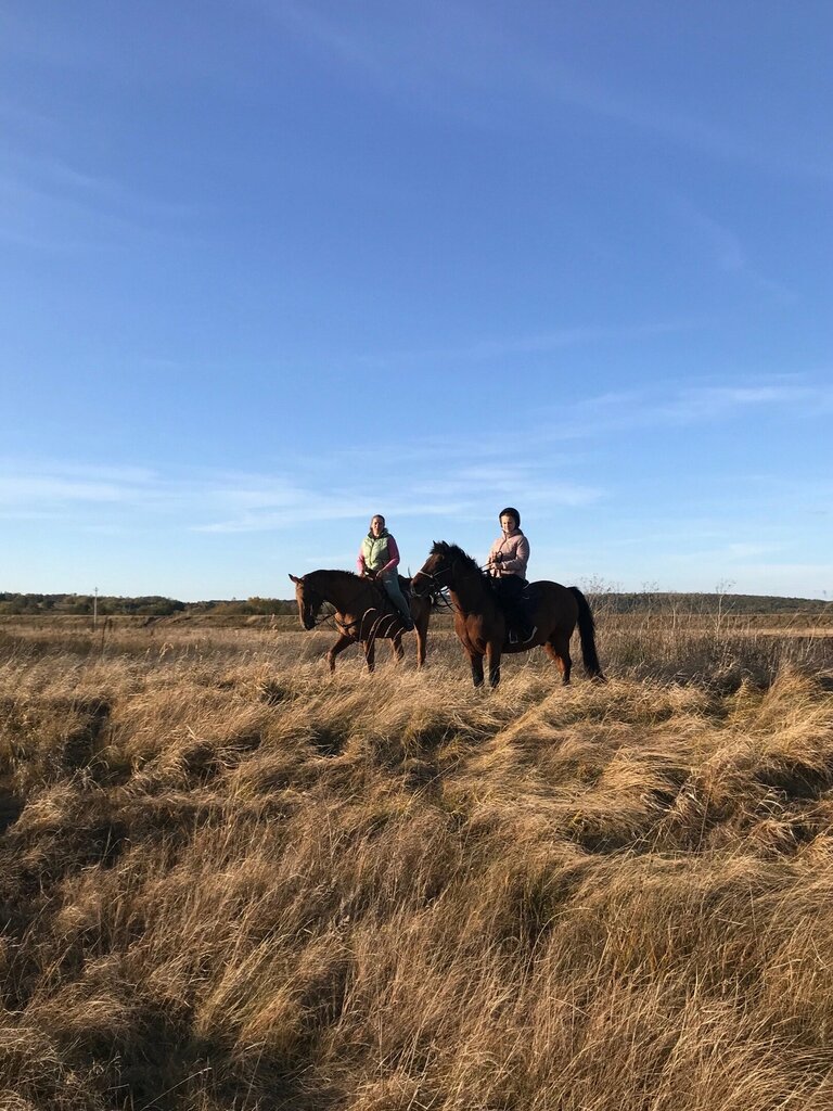 At ve binicilik kulüpleri Ранчо Дикий Юг, Kurskaya oblastı, foto