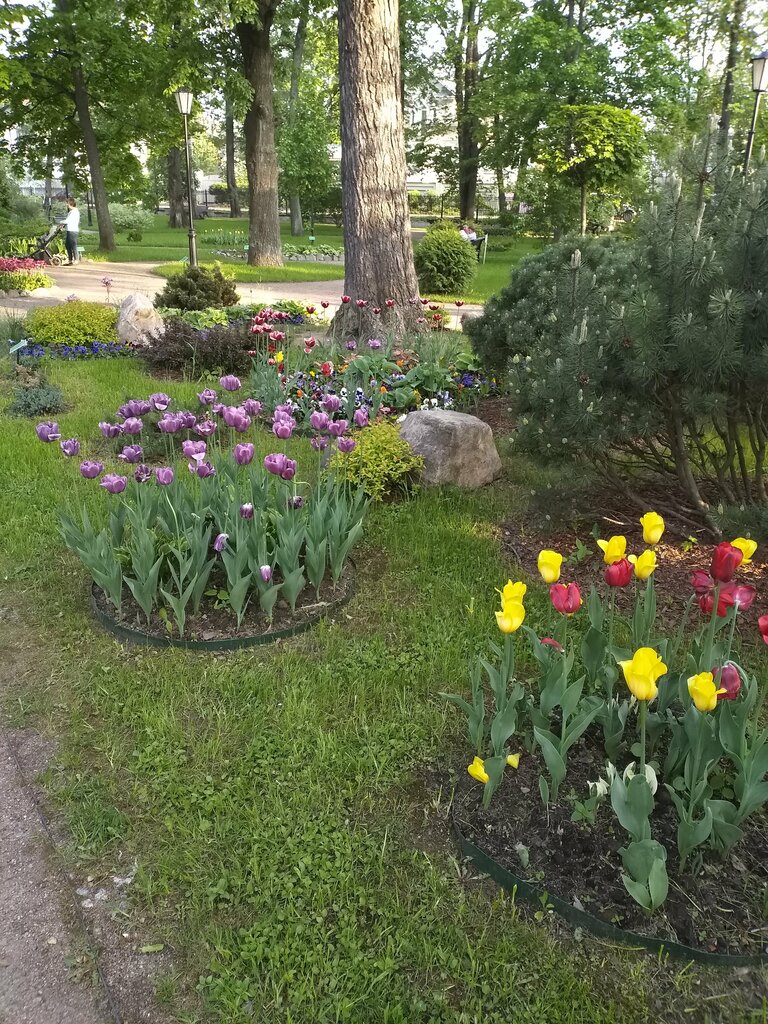 Turistik yerler Медведи, Rybinsk, foto