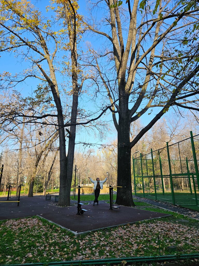 Turistik yerler Magic Oak, Almatı, foto