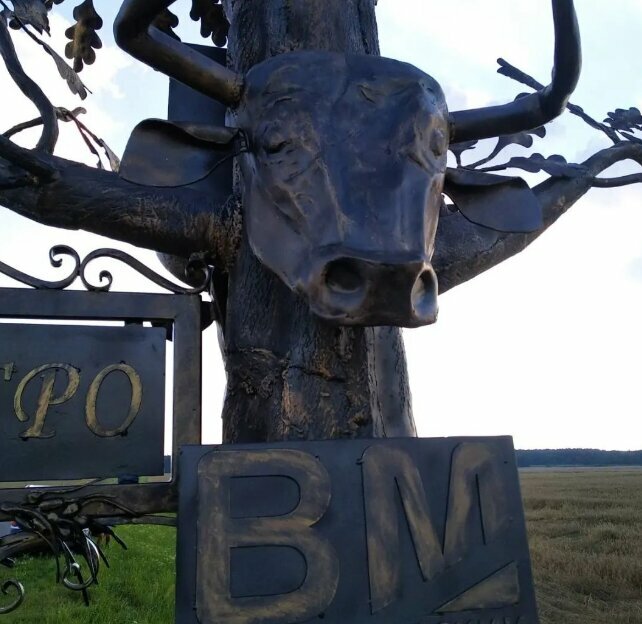Demirdökümcüler Kuznica, Grodno, foto