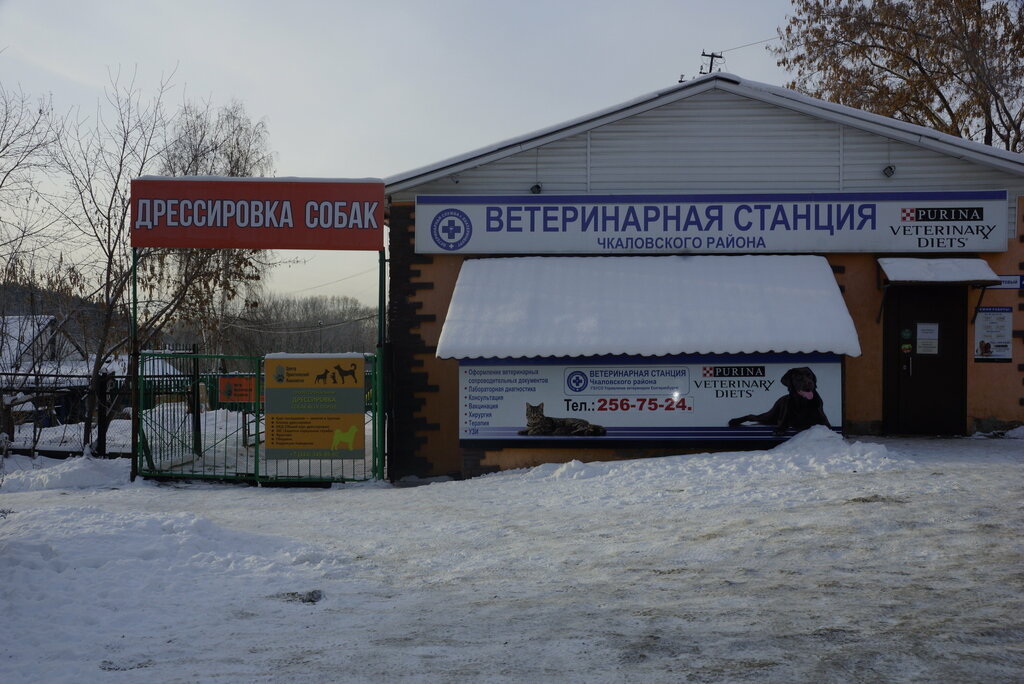Hayvanat bahçesi merkezi Центр практической кинологии, Yekaterinburg, foto