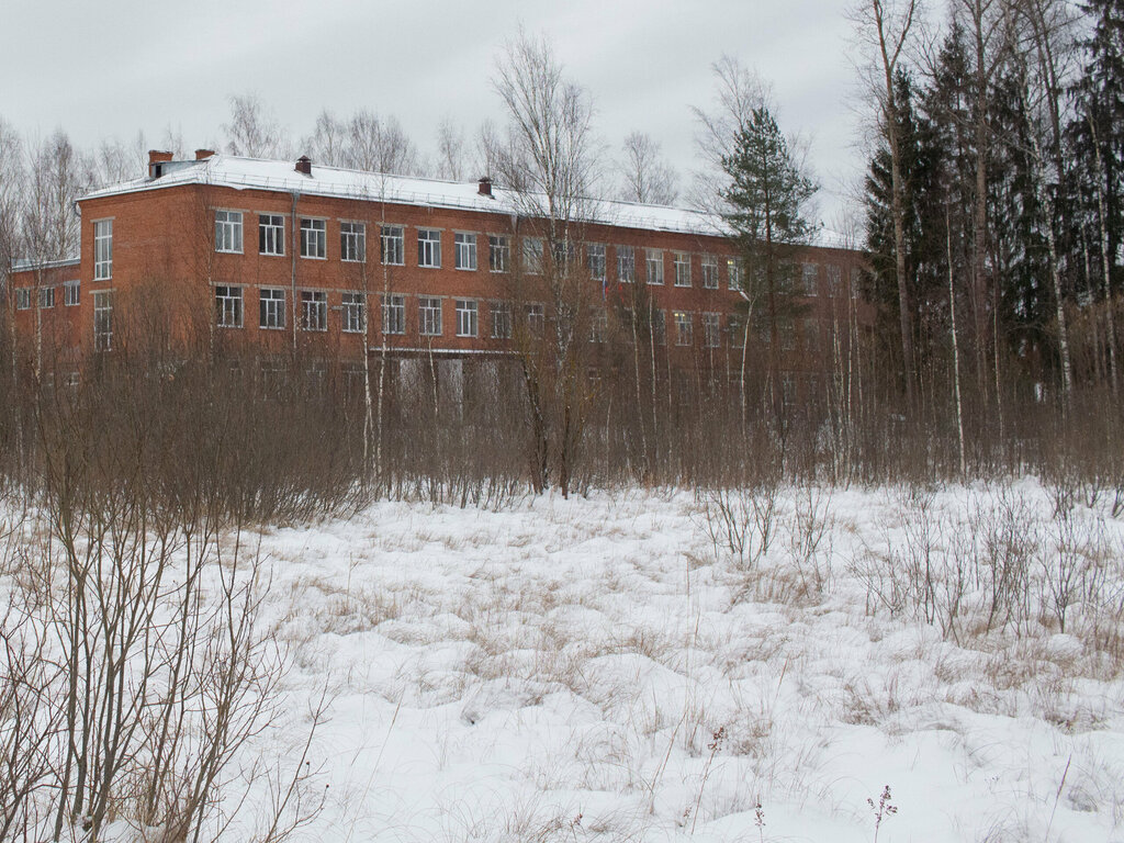Ortaokul S. Tempy shkola osnovnaya, Moskova ve Moskovskaya oblastı, foto